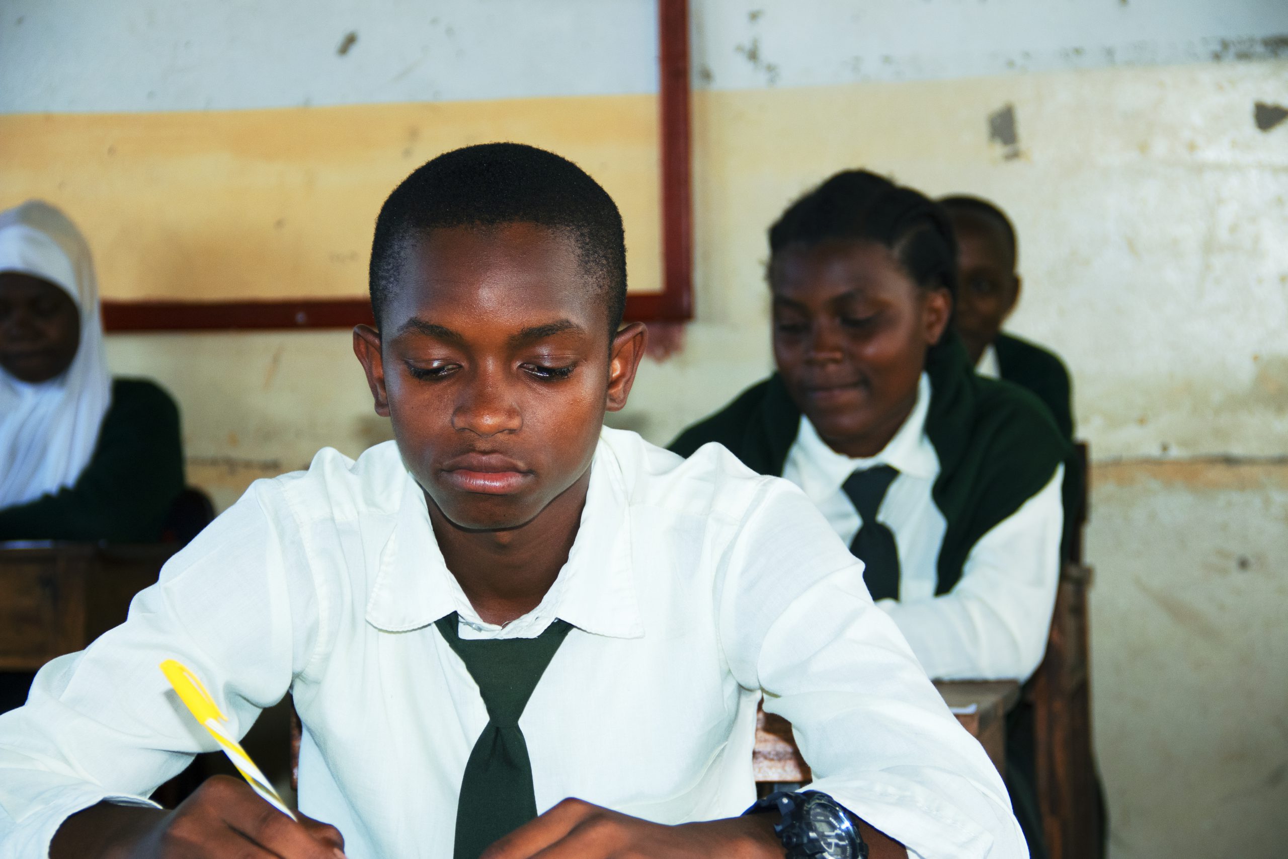 Home – GREEN VIEW SCHOOLS